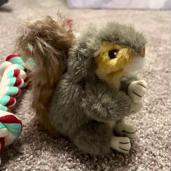 Dog | New 6 Cute Grey Tree Squirrel Plush Stuffed Animal Squeaky Toy ...